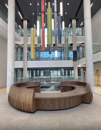 Artist helps create a warm and friendly welcome to new hospital ...