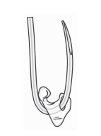 Hearing aid users information booklet - University Hospitals Sussex NHS ...