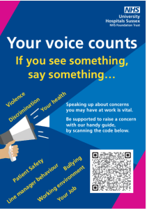 Raising concerns/speaking up pathways - University Hospitals Sussex NHS ...