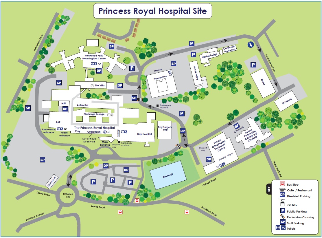 About Your Colonoscopy Examination - University Hospitals Sussex NHS ...