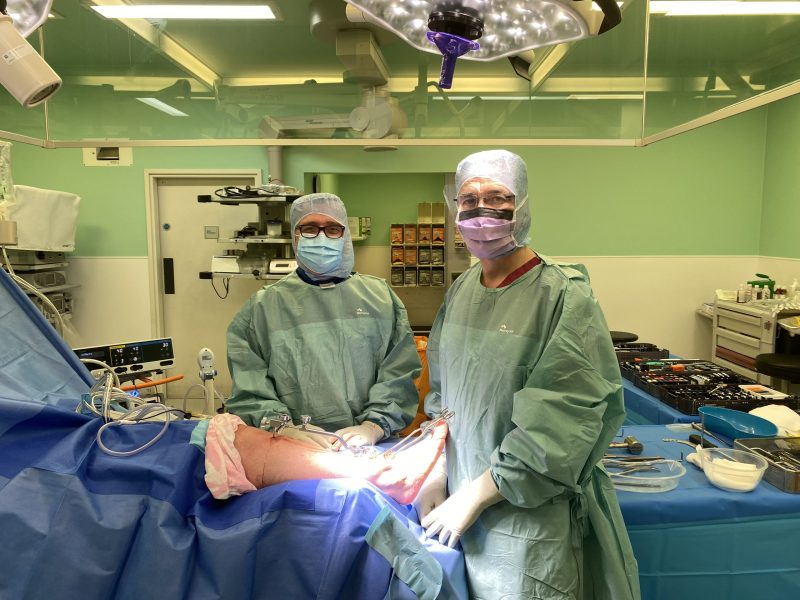 Orthopaedic surgeons win prestigious award for ankle arthritis study ...