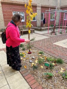 Staff Memorial Garden opens at Worthing Hospital - University Hospitals ...