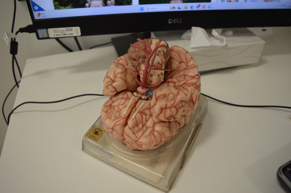 New migraine care pathway transforming lives across Sussex - University ...